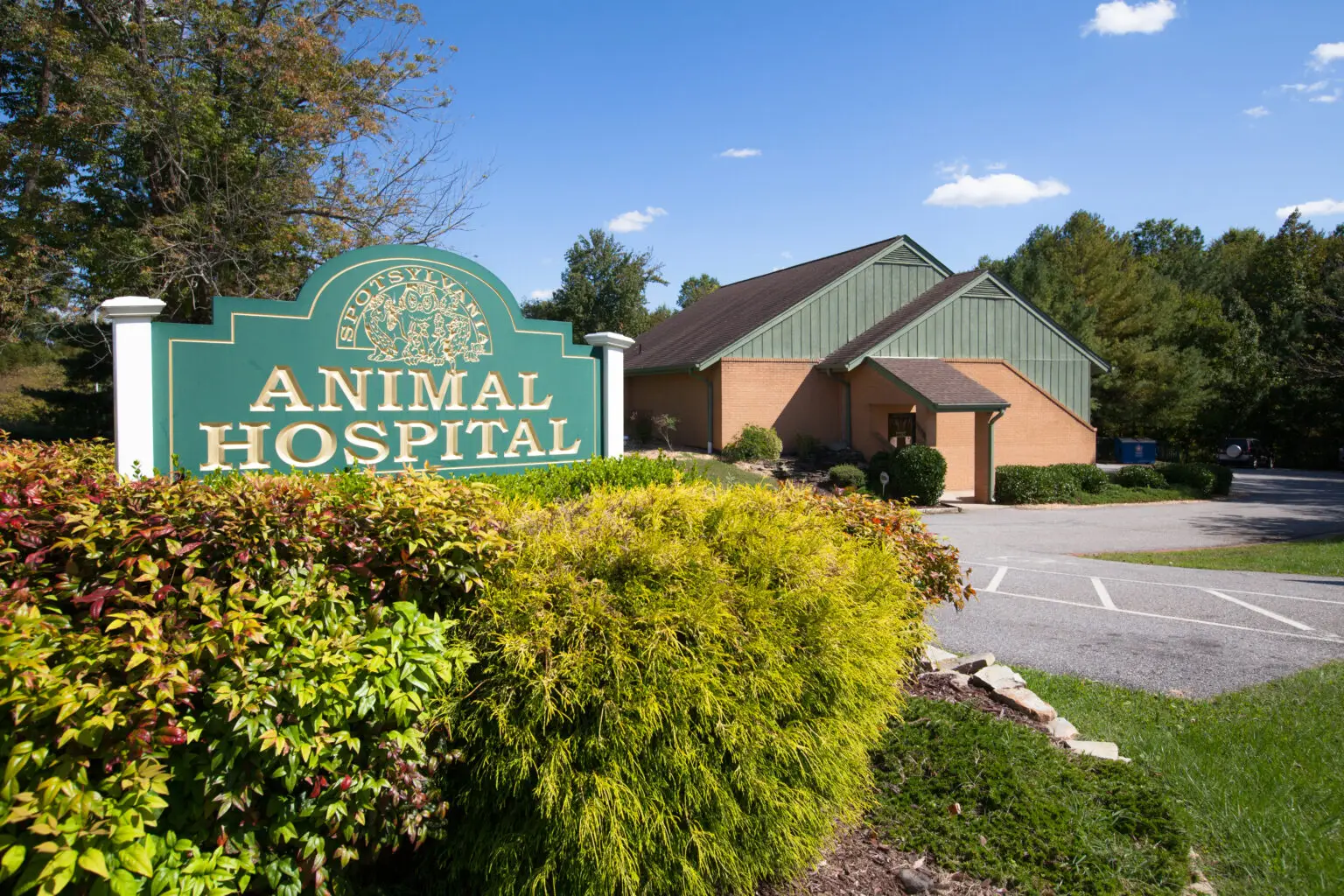 New Veterinary Clients in Spotsylvania, VA | Spotsylvania Animal Hospital